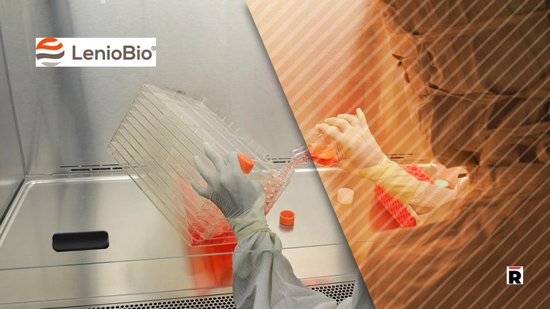 Leniobio Announces a New Proprietary Cell Line Devoid of Plant Glycans