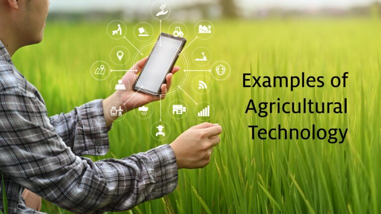 What is Agritech and Why Is It Important for Modern Agriculture?