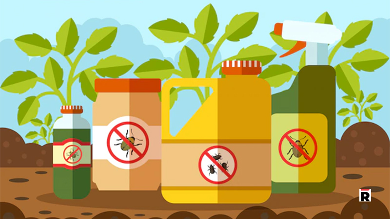 How Agrochemical Industry Outlook Will Impact The Global Agrarian Sector