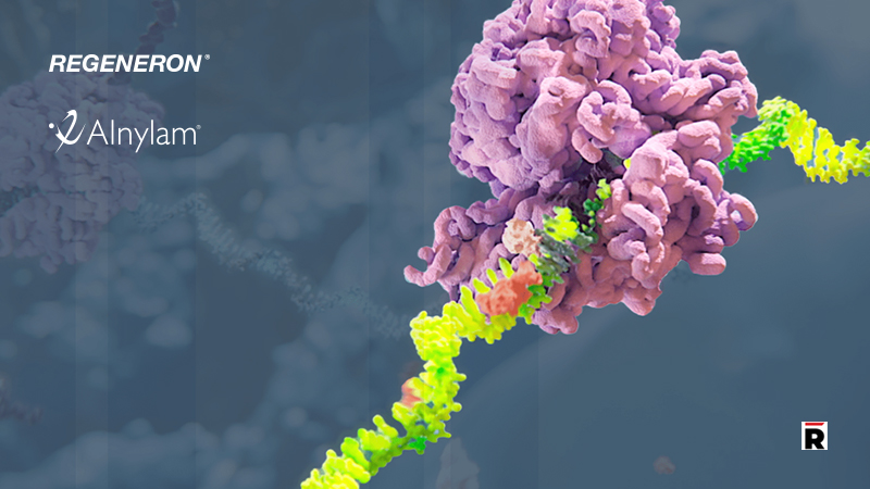 Alnylam and Regeneron Report Positive Interim Phase 1 Clinical Data on ...