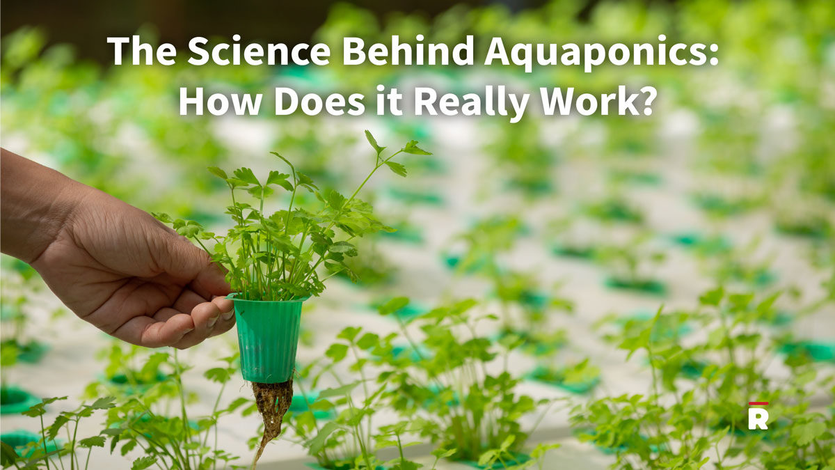 The Science Behind Aquaponics: How Does it Really Work?