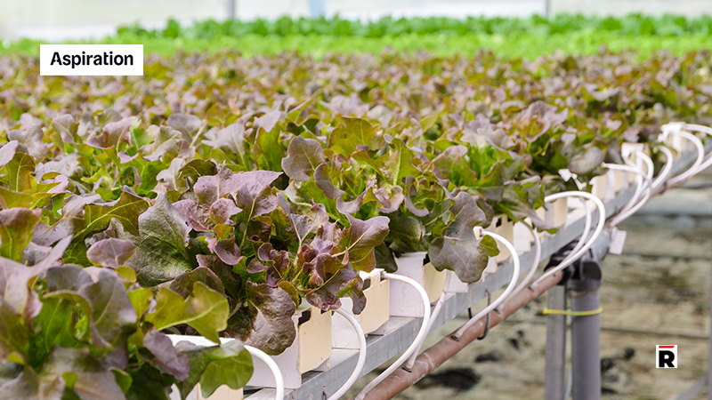 Aspiration Partners with Trees for the Future to Promote Reforestation
