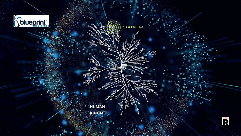 Blueprint Medicines Submits Supplemental New Drug Application