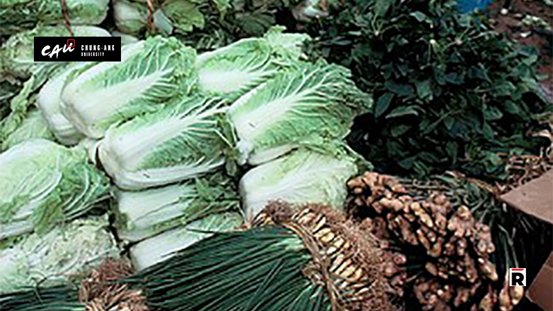 Chung-Ang University Study Reveals Solutions for Food Cold Chains
