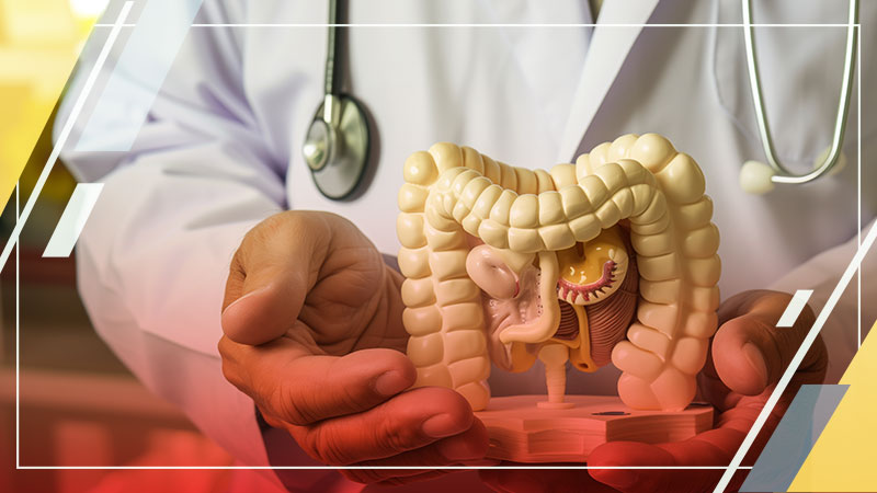 A Comprehensive Guide to Colon Capsule Endoscopy in 2024