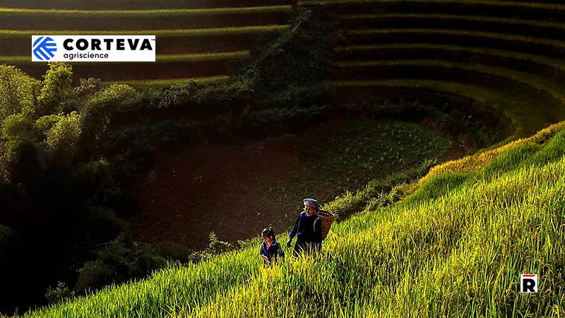 Corteva Agriscience Announces Commercial Launch of Vorceed Enlist Corn ...