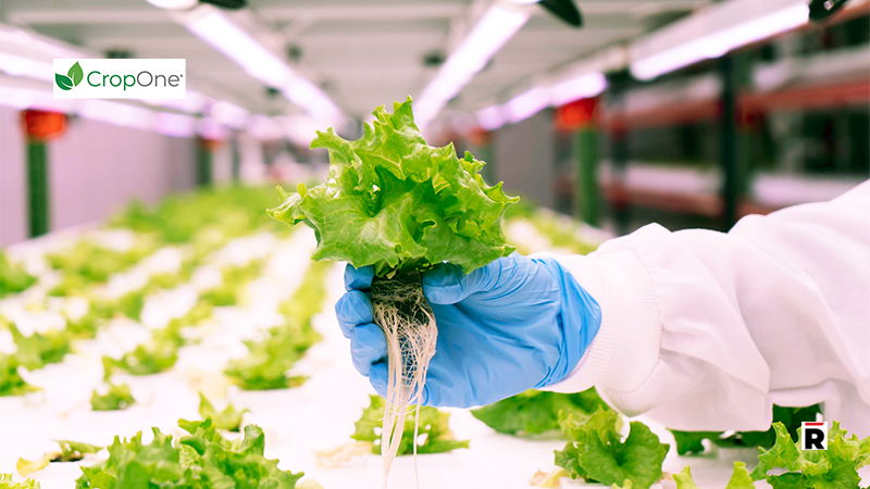 Crop One Holdings and Emirates Flight Catering Opening of ECO