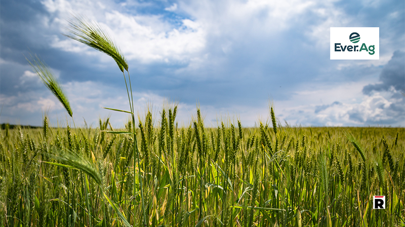 Ever.Ag Accelerates Growth, Broadens On-Farm Dairy Solutions