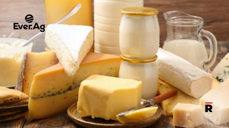 Ever.Ag Launches Revolutionary Cheese Yield Optimization Using AI