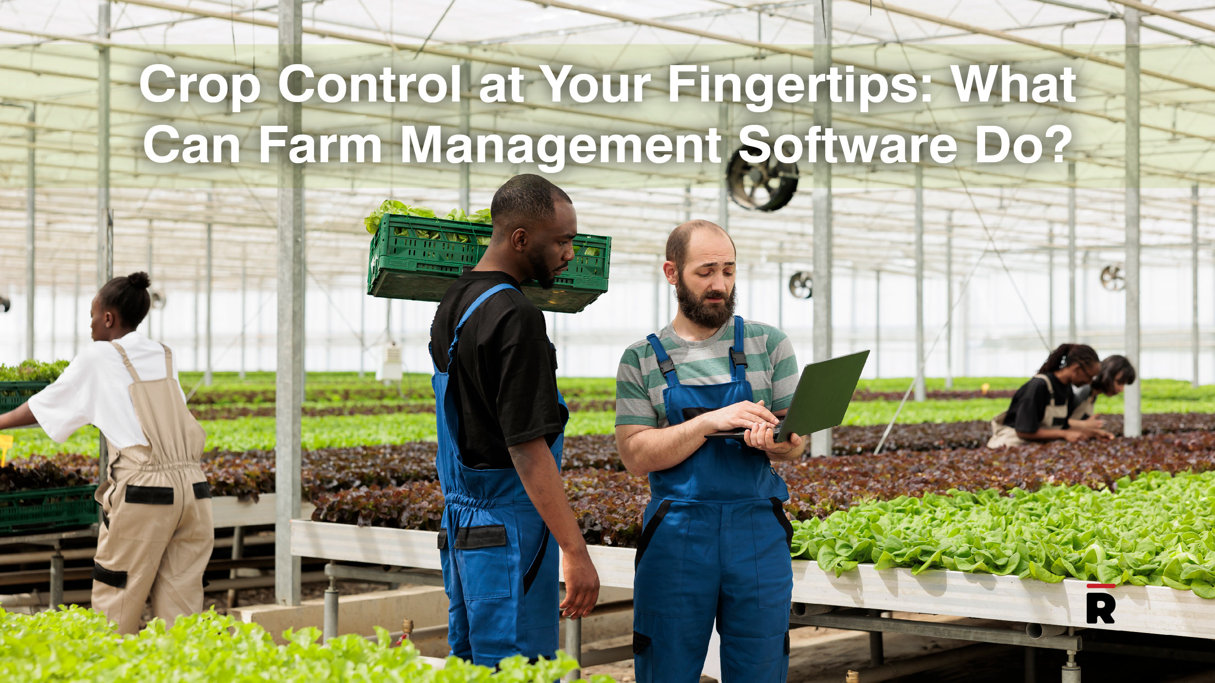 Crop Control at Your Fingertips: What Can Farm Management Software Do?