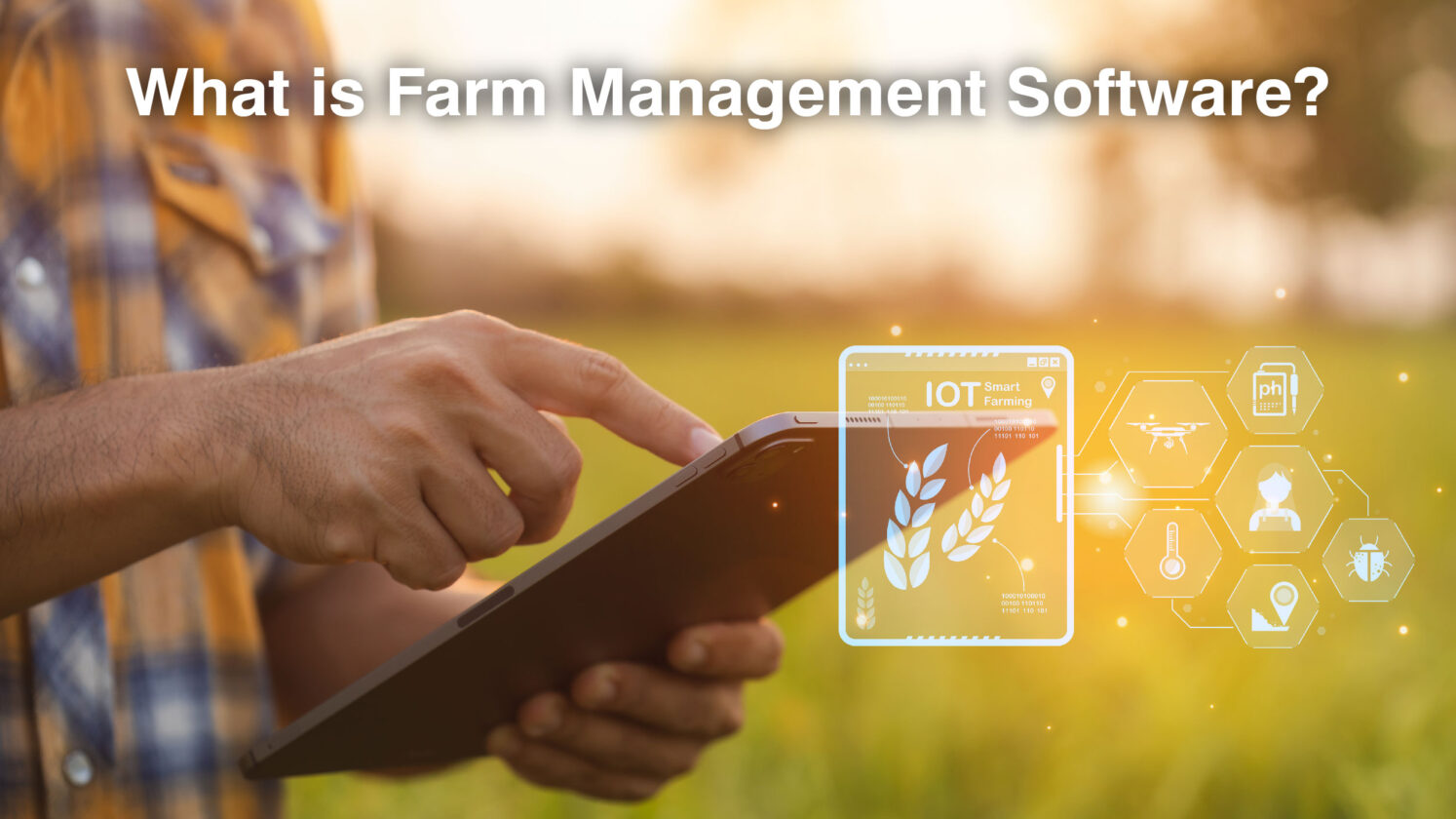 Crop Control at Your Fingertips: What Can Farm Management Software Do?