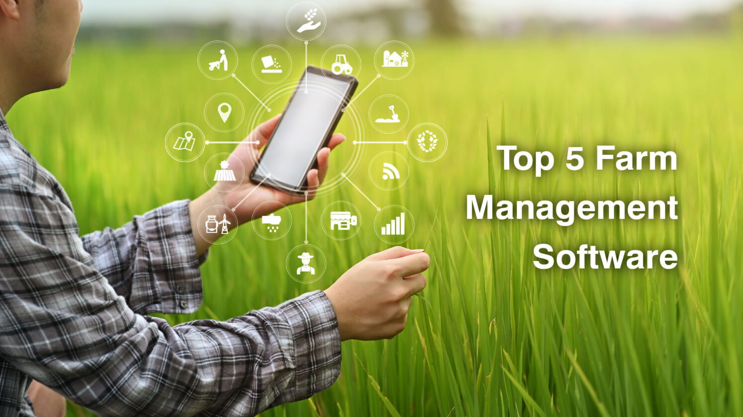 Crop Control at Your Fingertips: What Can Farm Management Software Do?