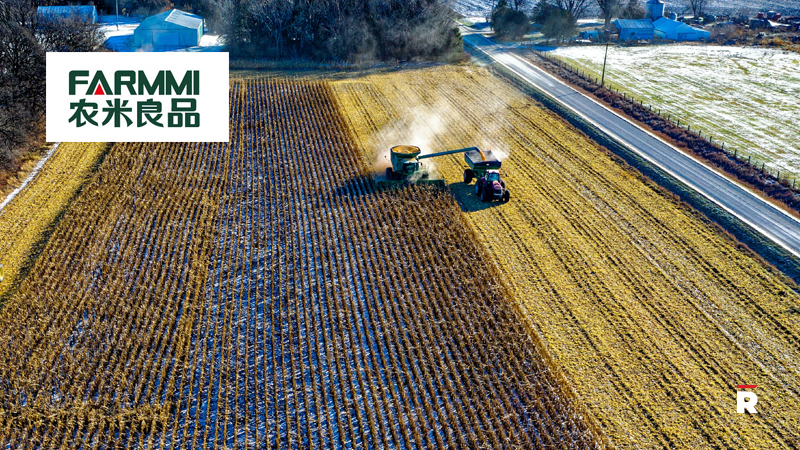 Farmmi Continues to Drive Growth with New Order Shipping to Egypt