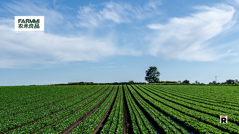 Farmmi Expands Reach into North America with Mexico Order