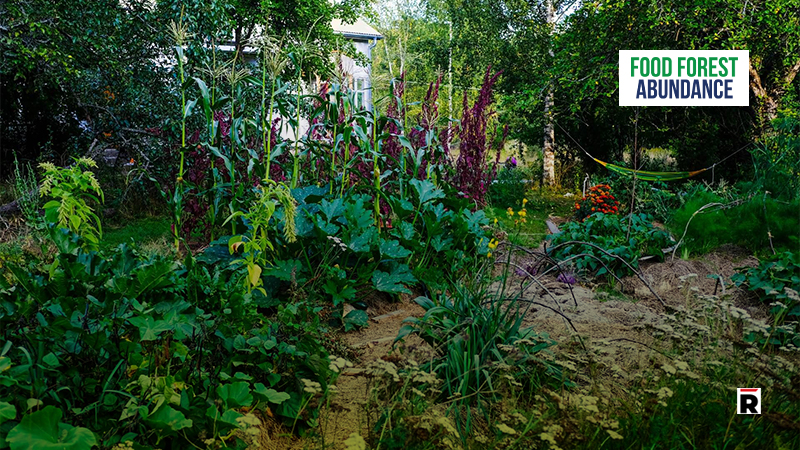 Food Forest Announces New Way to Grow Food for Entire Communities