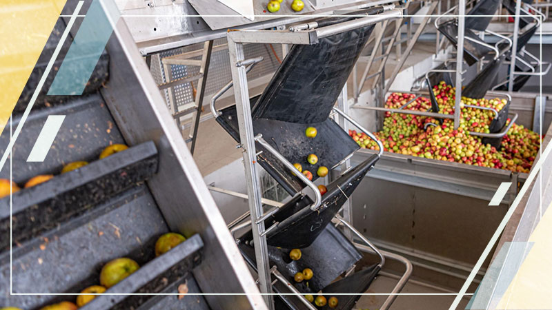 A Comprehensive Guide to Food Processing & Handling Equipment