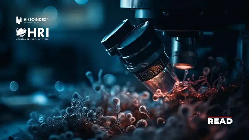 HistoIndex Partners with Houston Research Institute