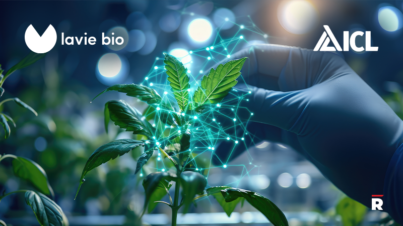 ICL and Lavie Bio Leverage Artificial Intelligence to Make Significant ...
