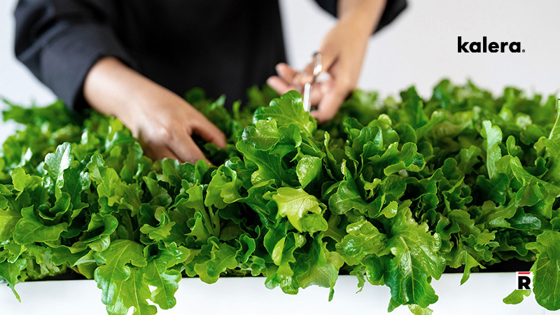 Vertical Farmer Kalera Commits to Sustainable Nourishment