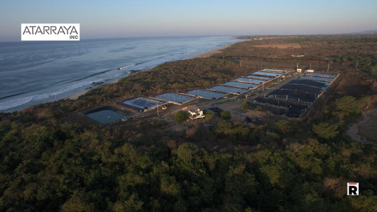 Sustainable Aquaculture Startup Atarraya to Celebrate First Harvest