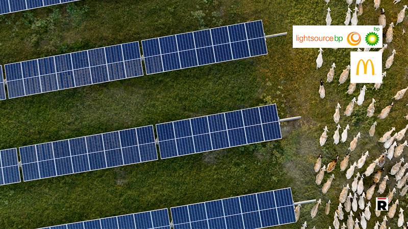 McDonald’s and Lightsource bp amp up solar energy in Southeast US