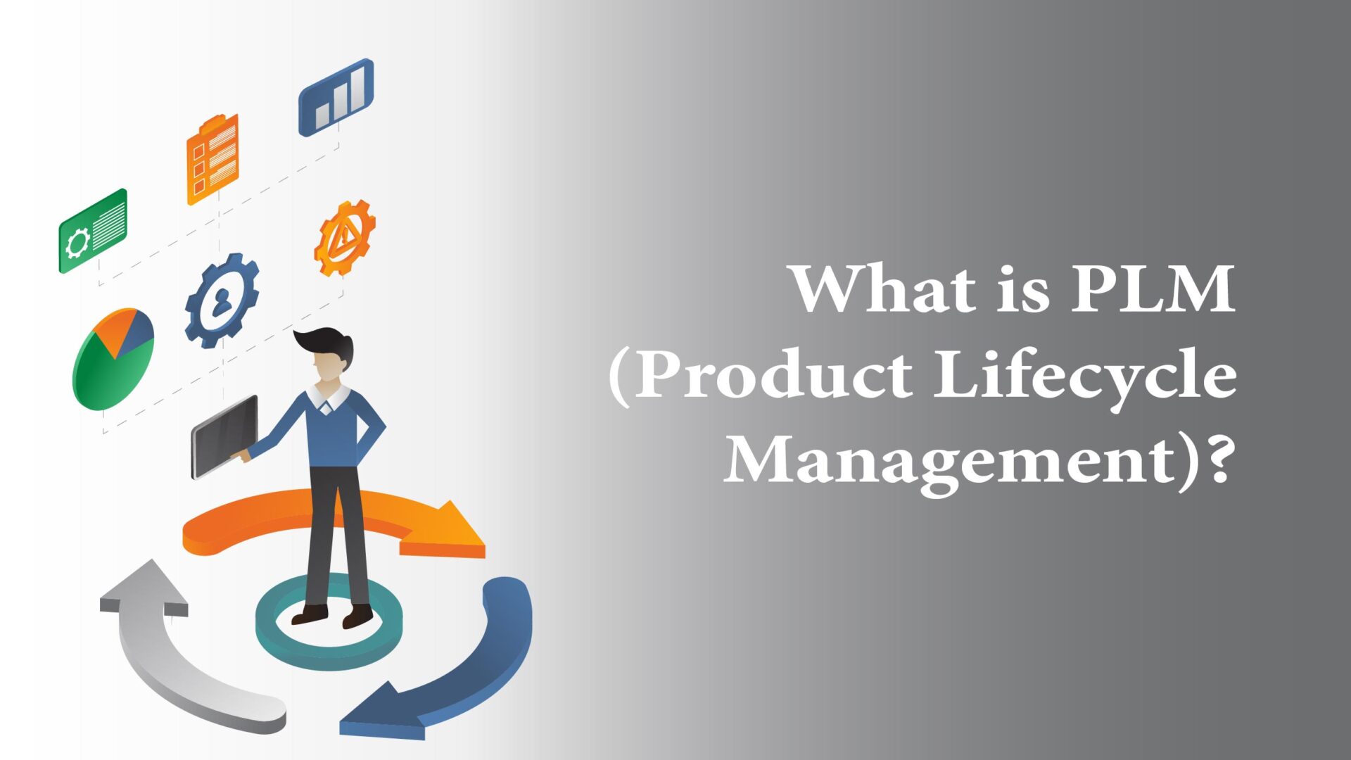 A Comprehensive Guide to PLM vs PIM