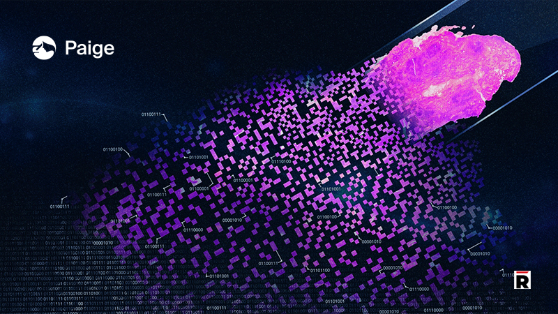 Paige Introduces Advanced Integration Capabilities to the Paige ...