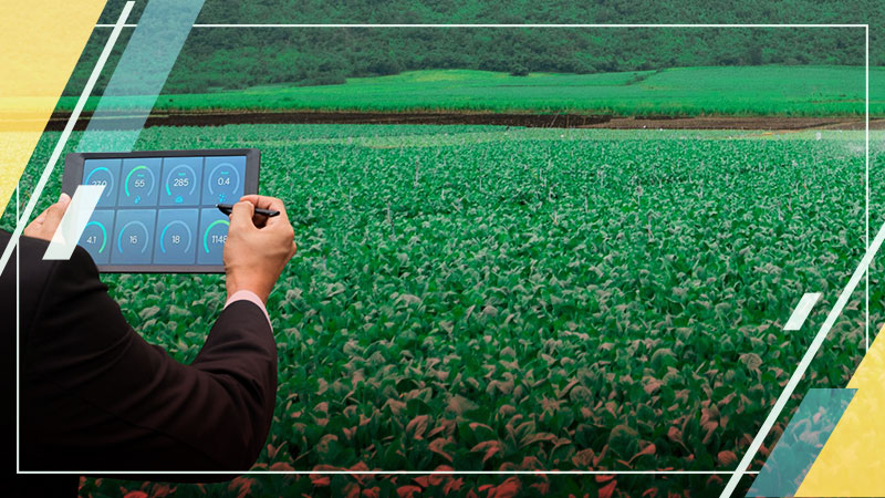 Precision Farming: Sowing the Seeds of Agricultural Change