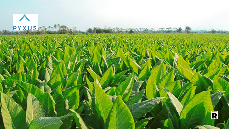 Pyxus Announces Expiration and Final Results