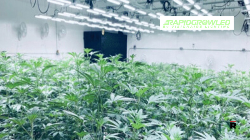 RapidGrow LED Wireless LED Lighting Series Powered by PANGEA