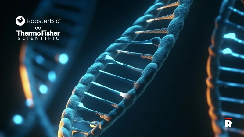 RoosterBio Announces Collaboration with Thermo Fisher Scientific