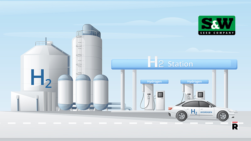 Shell and S&W Enter Joint Venture