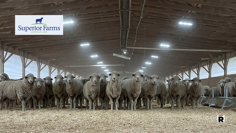 Superior Farms Celebrates Grand Opening of The Sheep Discovery Center