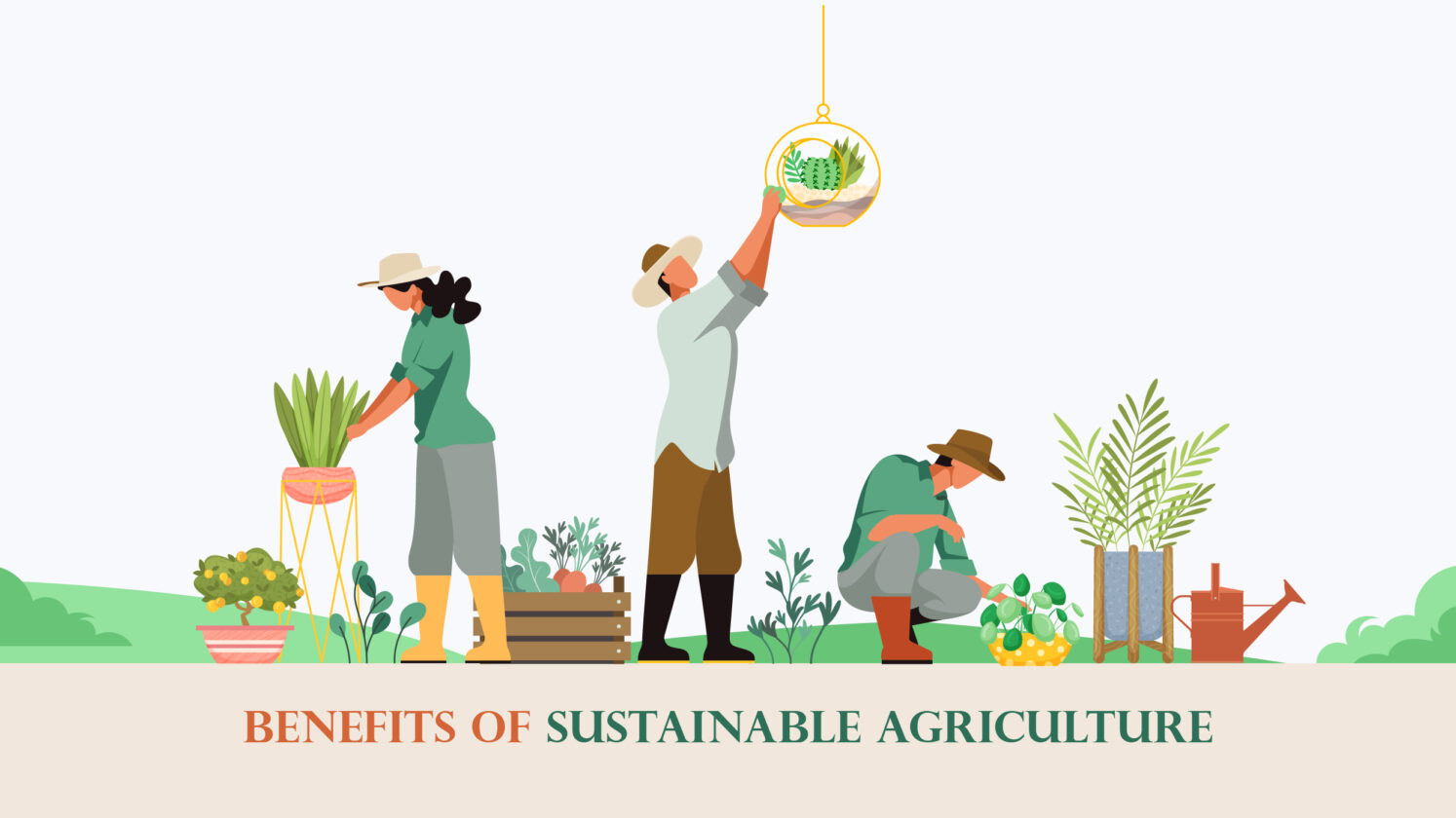 Ultimate Guide to Sustainable Agriculture: Everything You Need to Know