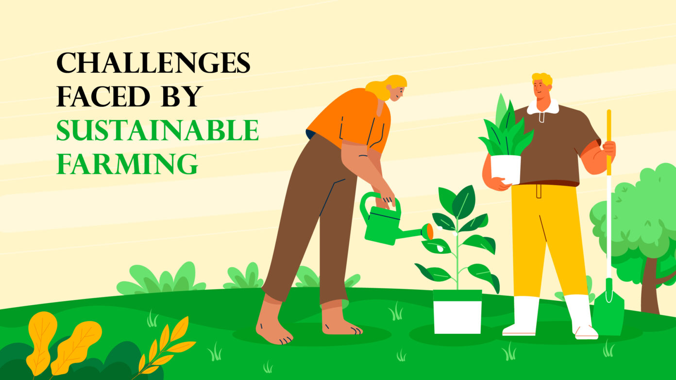 Ultimate Guide to Sustainable Agriculture: Everything You Need to Know