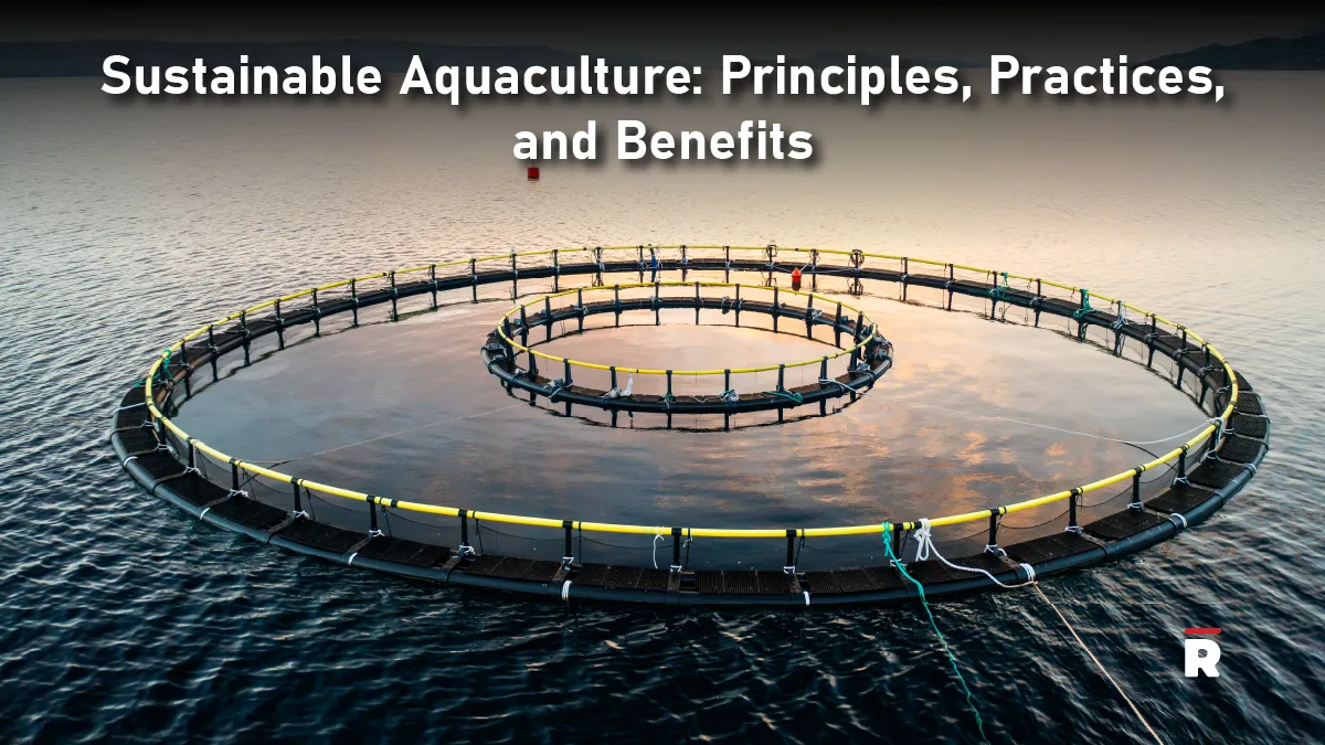 Sustainable Aquaculture: Principles, Practices, and Benefits