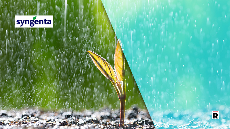Syngenta Seedcare Launches VICTRATO, a Novel Seed Treatment