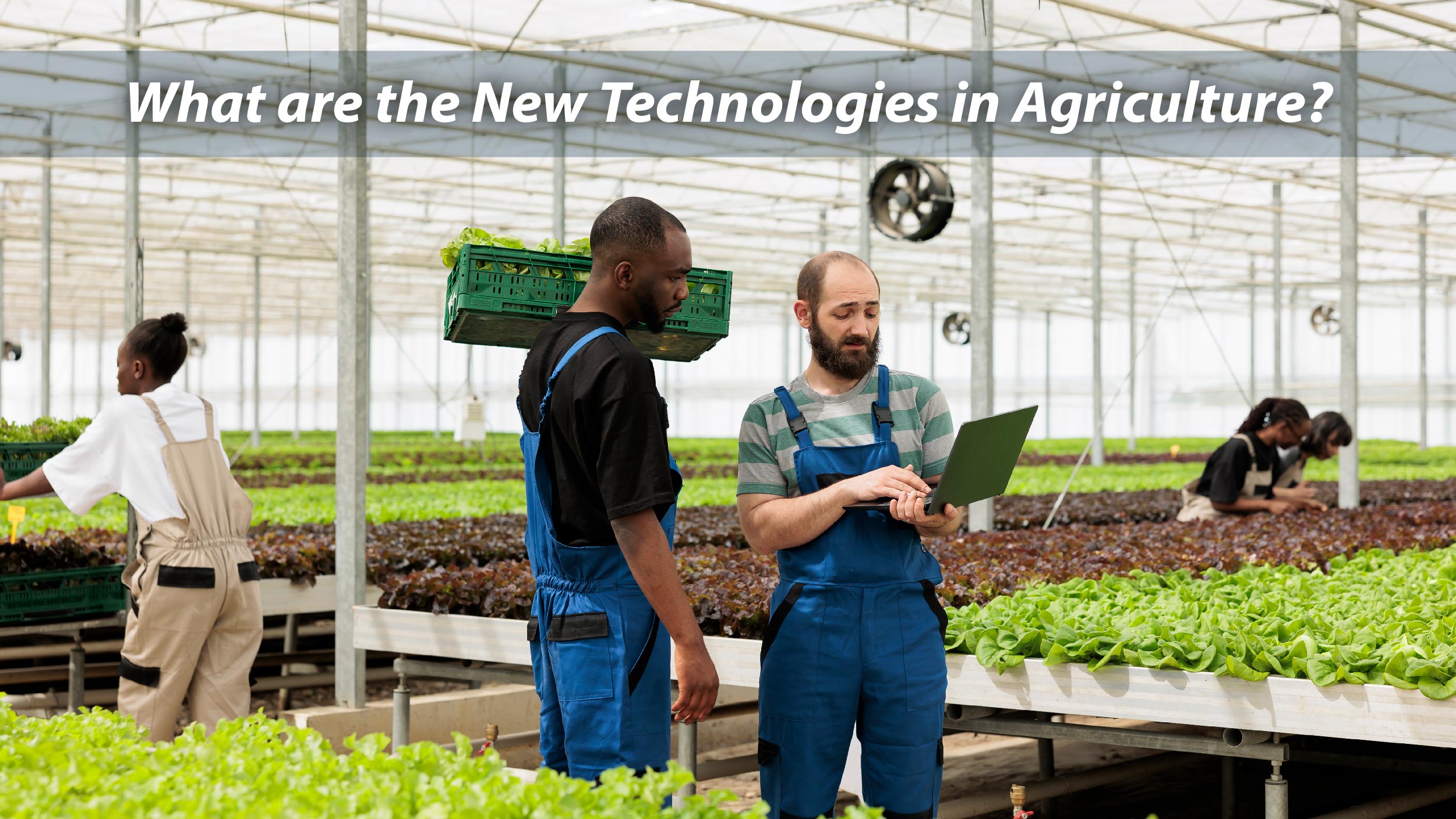 Top 4 Agritech Trends Driving Growth in 2023