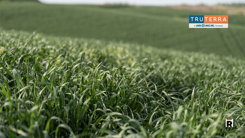 Truterra Launches Sustainability Services to Help Farmers Plan, Make ...
